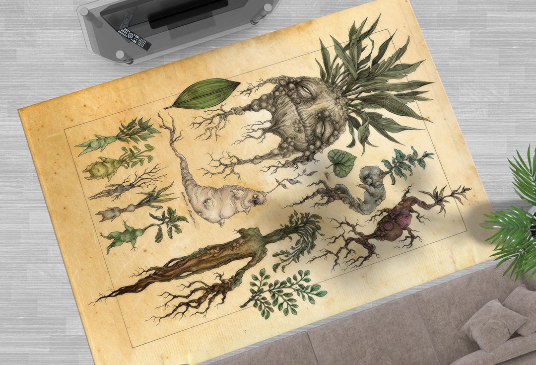 Herbology Medicinal Plant Rug, Magic Botanical Rugs, Herbology ...