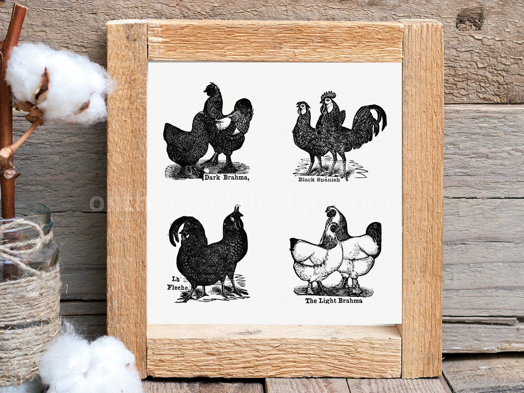 Instant Digital Download of Vintage Chicken Art, Printable 1915 ...