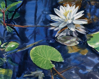 Buffam Falls, 5" X 7" Frameable Note Card - Etsy