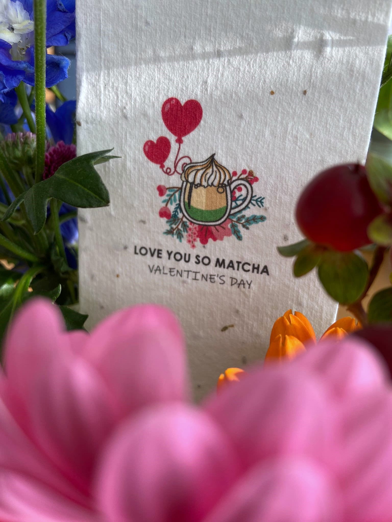 Seed Cards Plantable W Envelopes | Minimalist | Seed Paper | Eco ...