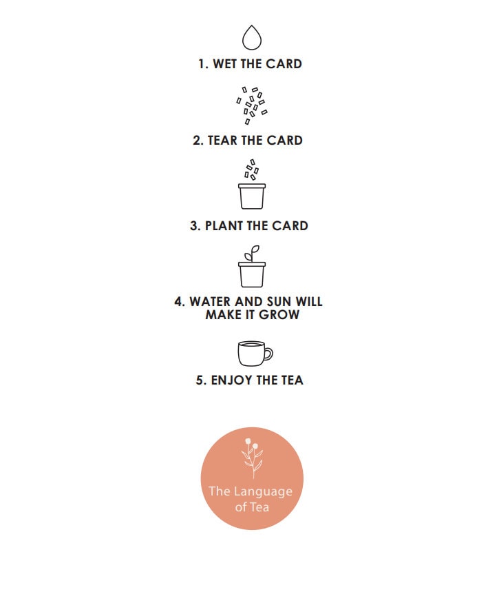 Seed Cards Plantable W Envelopes | Minimalist | Seed Paper | Eco ...