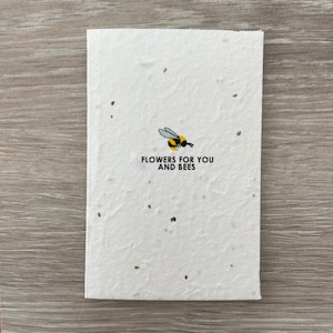 Seed Cards Plantable With Envelopes | Minimalist | Flowers and Herbs ...