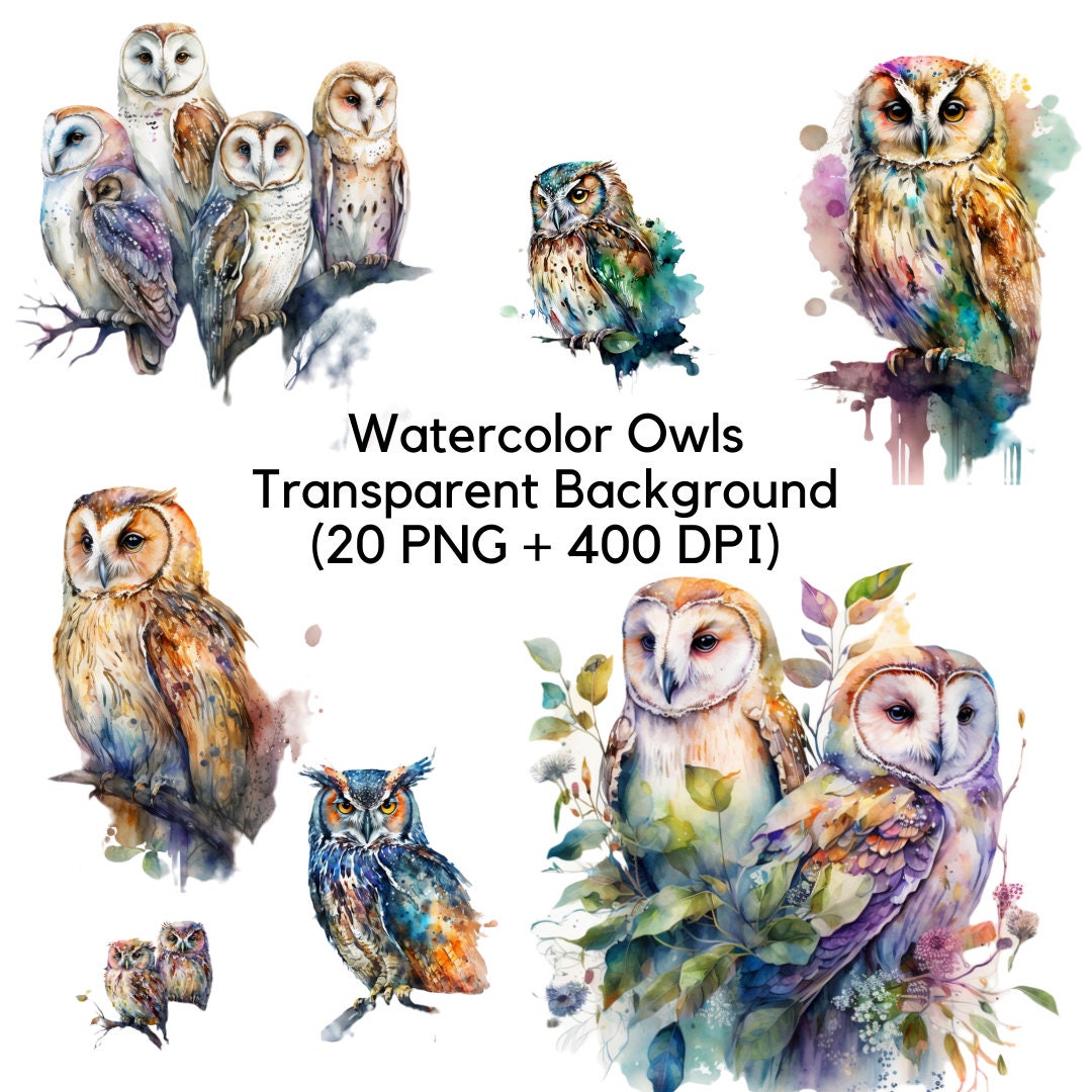 Set of 20 Different Watercolor Owls Clipart in PNG Format Instant ...