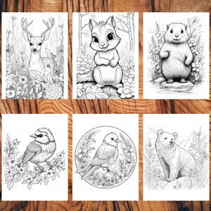 52 Cute Woodland Animal Coloring Page Book, Adults + Kids, Printable ...