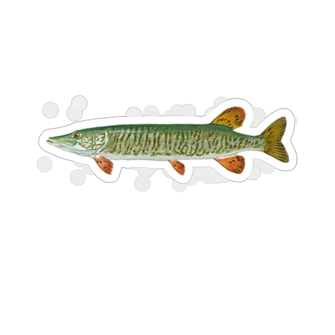 Musky Stickers,muskie Kiss-cut Stickers - Etsy