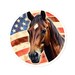 USA Horse Portrait Sticker, Circle Sticker Round Stickers, Indoor ...