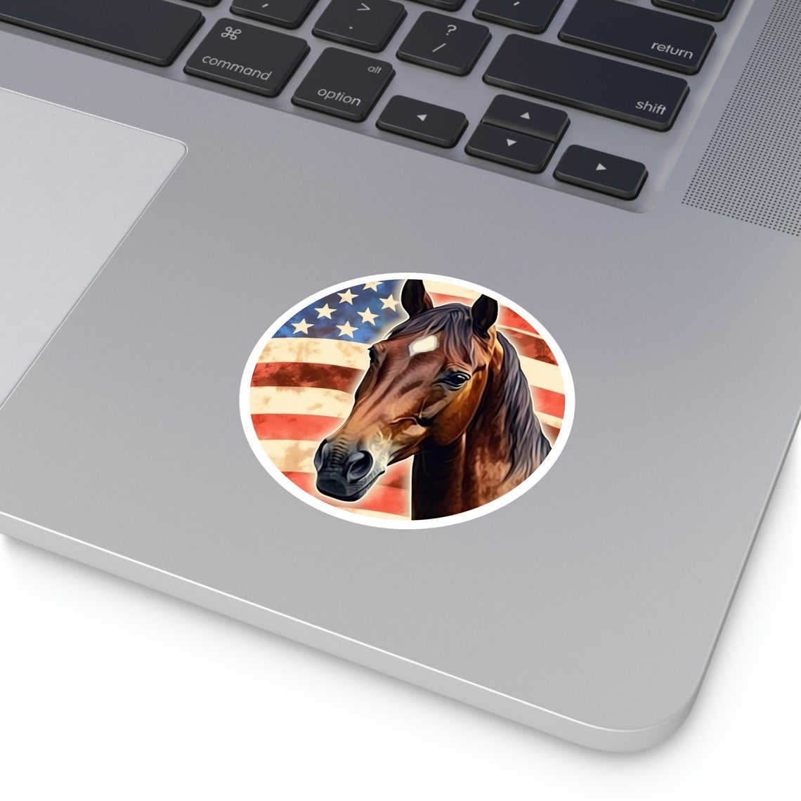 USA Horse Portrait Sticker, Circle Sticker Round Stickers, Indoor ...