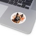Belgian Malinois Sticker, Circle Sticker Round Stickers, Indoor/outdoor ...