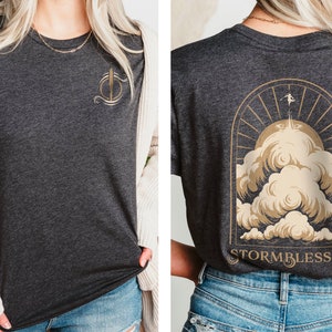 Stormlight Archive Shirt, Kaladin Stormblessed Shirt, Brandon Sanderson ...