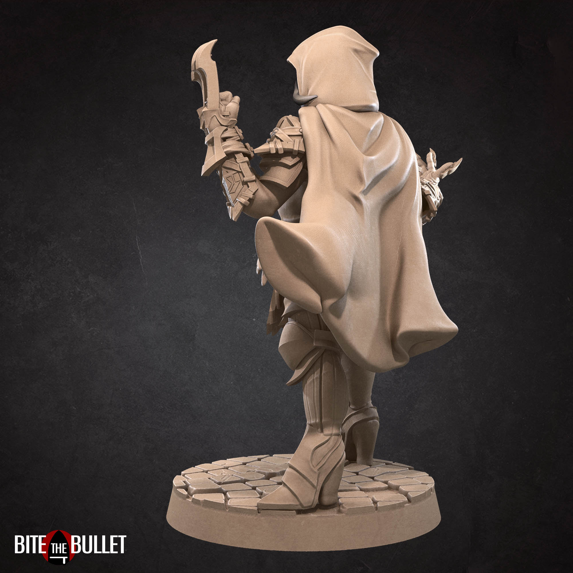 Assassin Rogue RPG Dnd 32mm 3D Printed Miniatures - Etsy