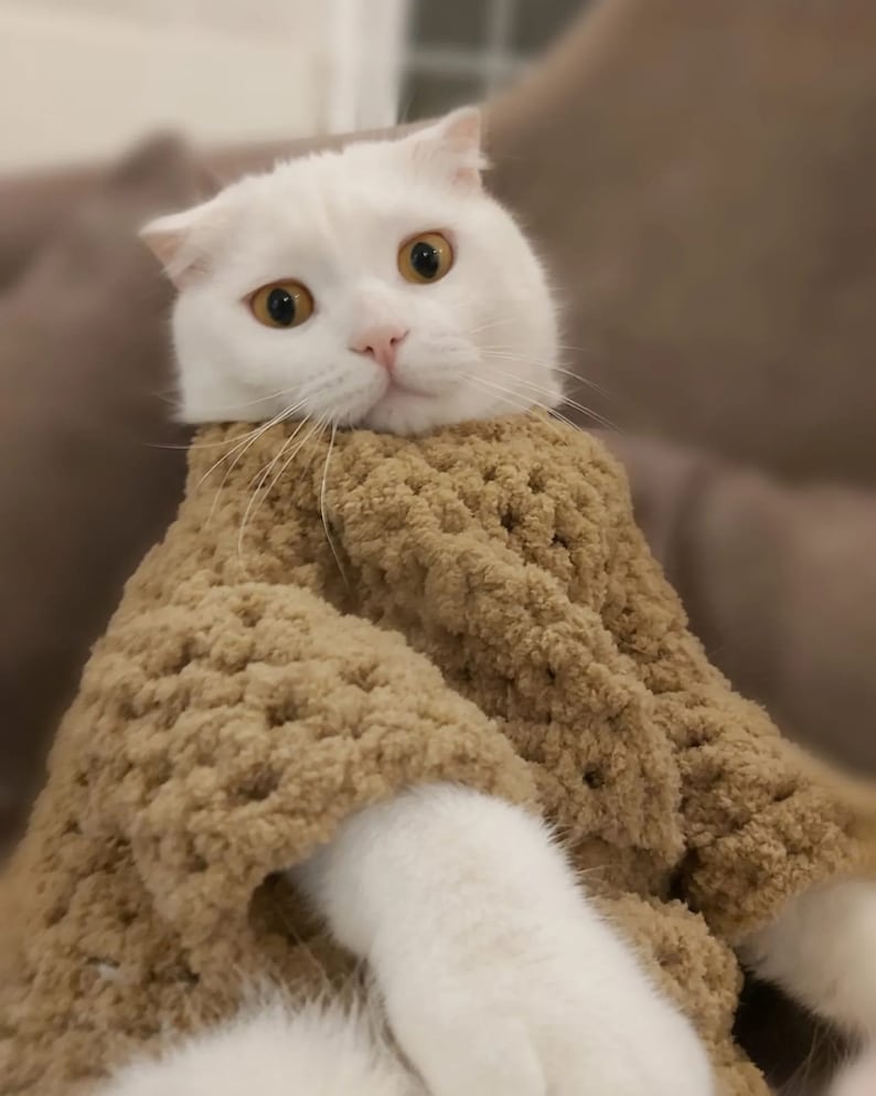 Winter Wool Cat Sweater Knit Cat Sweater Warm Cat Clothes - Etsy