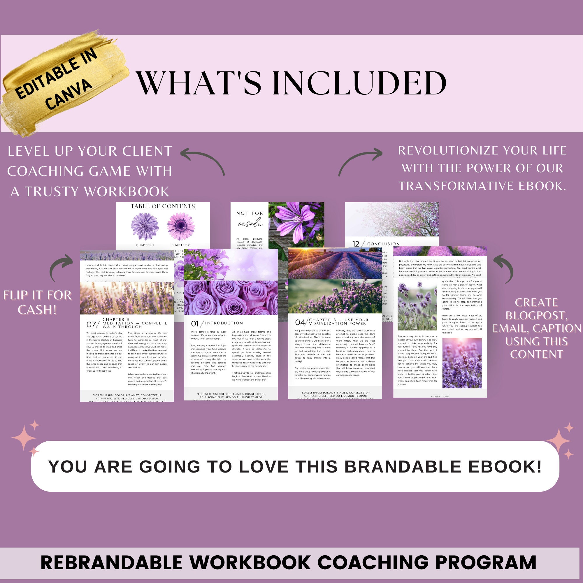 Designing Your Future: Brandable Done for You Ebook, Comprehensive ...