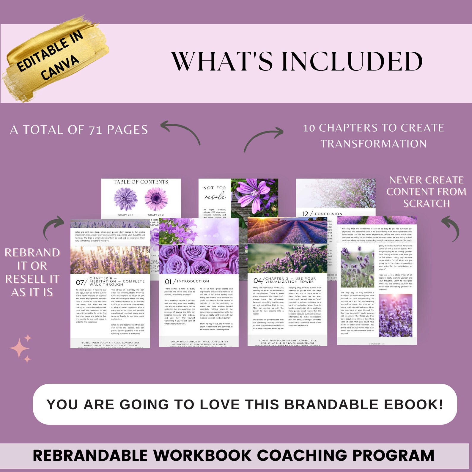 Designing Your Future: Brandable Done for You Ebook - Etsy