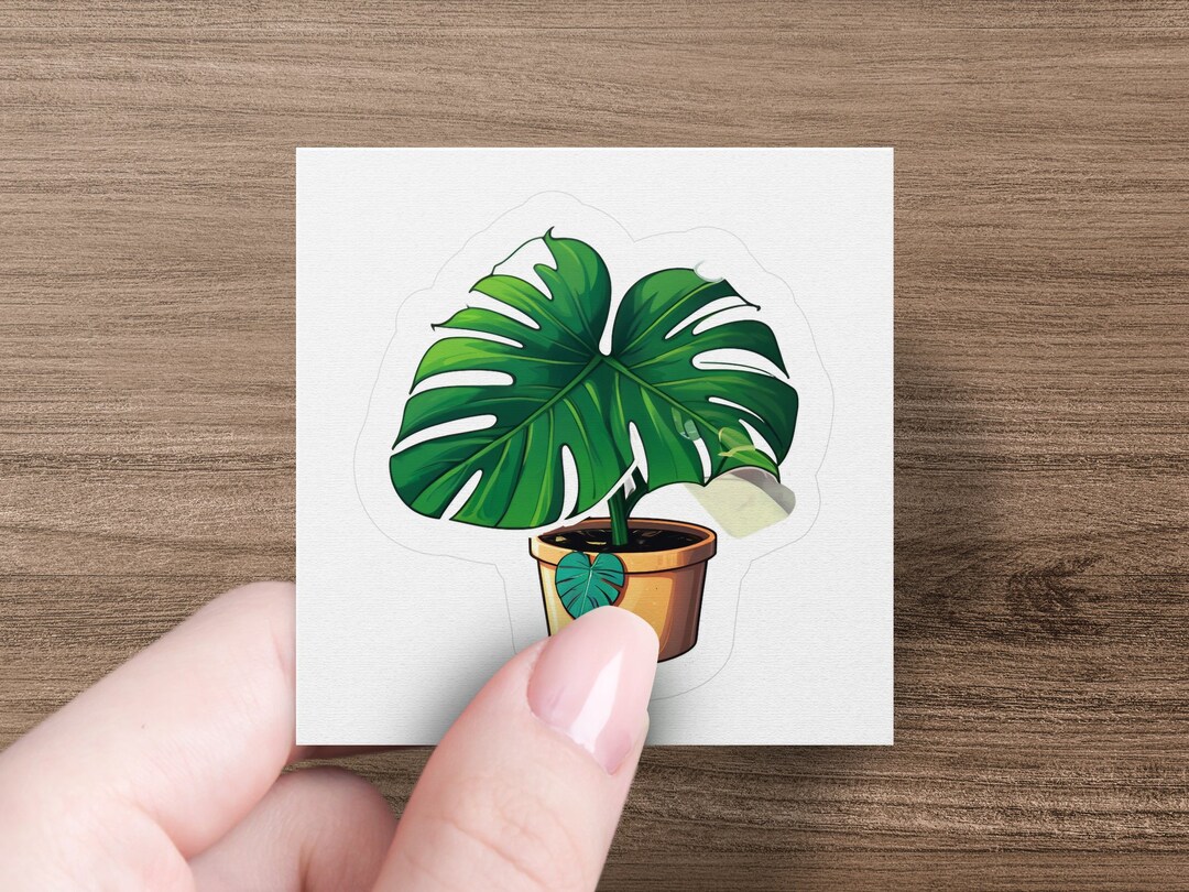 Monstera Leaf Plant Sticker, Tropical Potted Plant Decal, Botanical ...