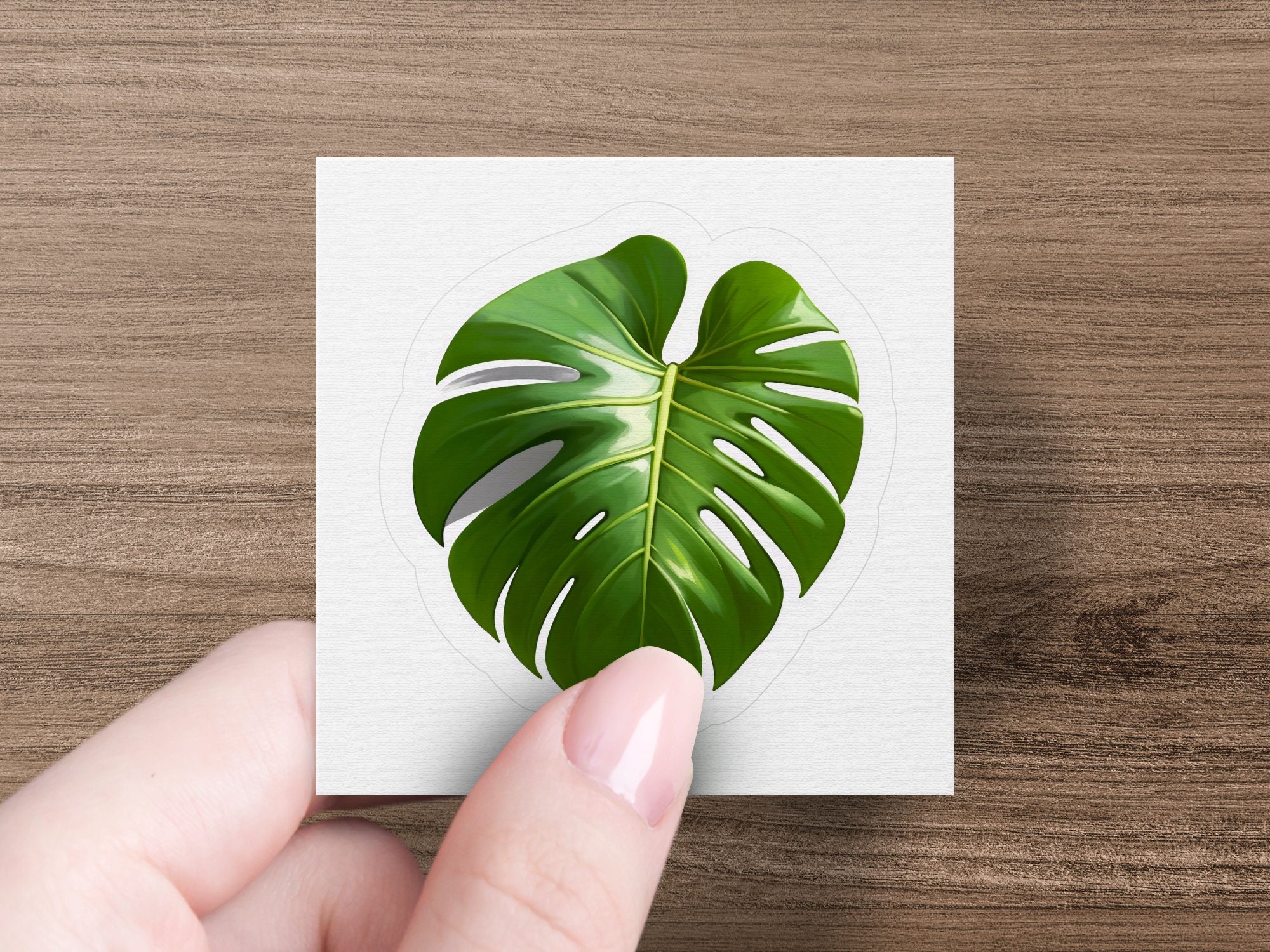 Monstera Leaf Sticker, Tropical Plant Decoration, Green Leaf Decal ...