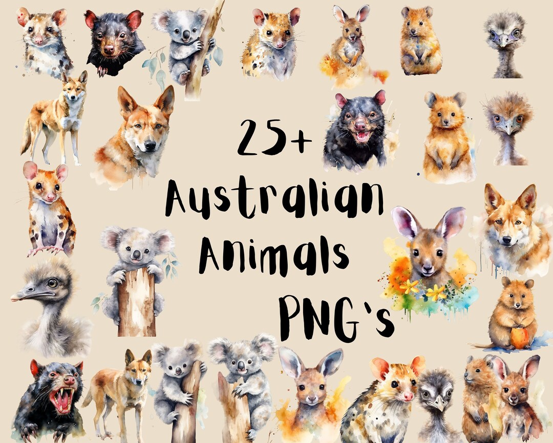 25 Cute Australian Animals Clip-art Watercolors Png's - Etsy Australia
