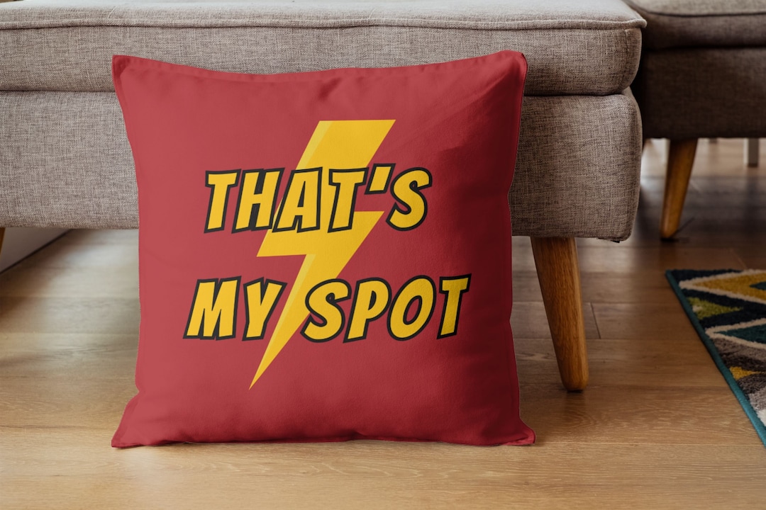 Big Bang Theory Pillow, Big Bang Theory Gift, Sheldon Cooper Quote, Flash Theme, that's My Spot ...