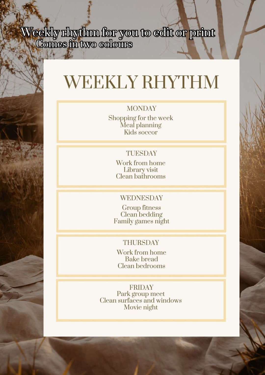 Weekly Schedule and Weekly Organizer | Customizable or Printable - Etsy