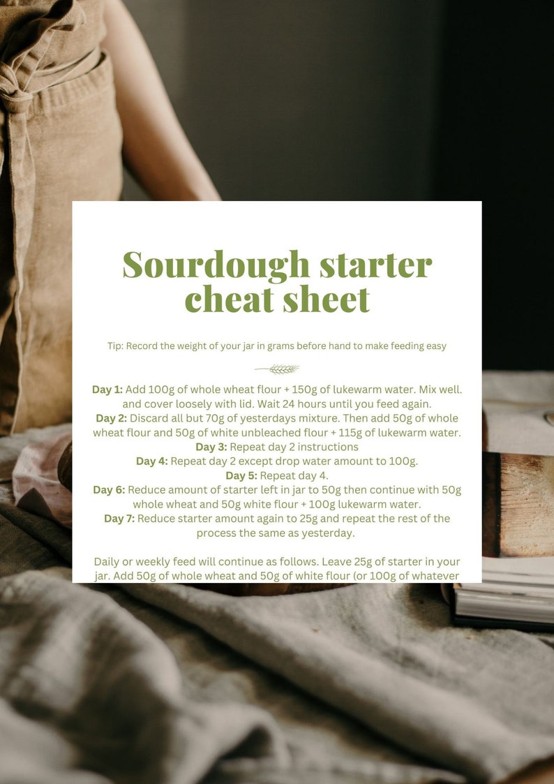 Beginner's Guide to a Sourdough Starter | How to Start and Maintain ...