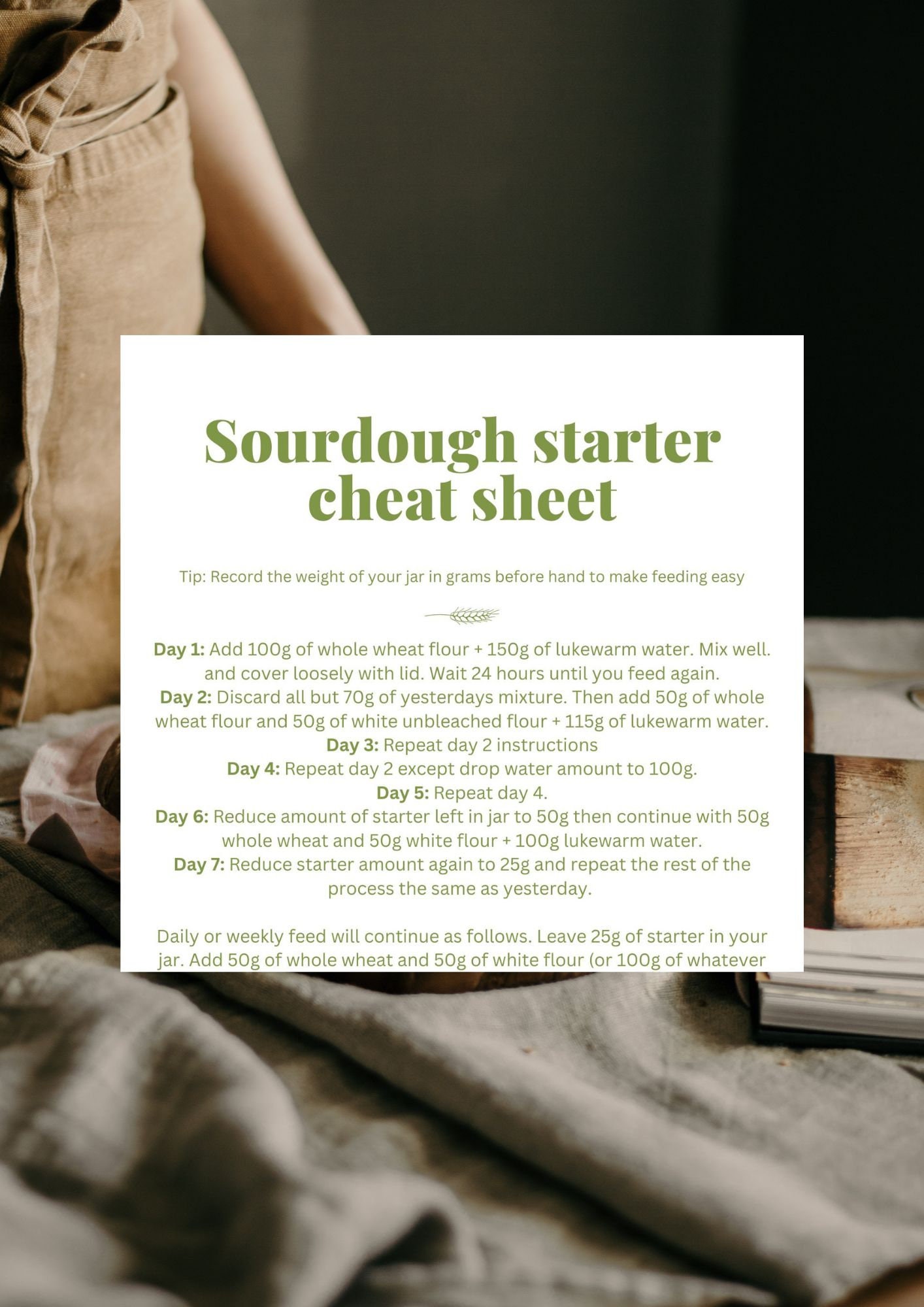 Beginner's Guide to a Sourdough Starter | How to Start and Maintain Guide - Etsy