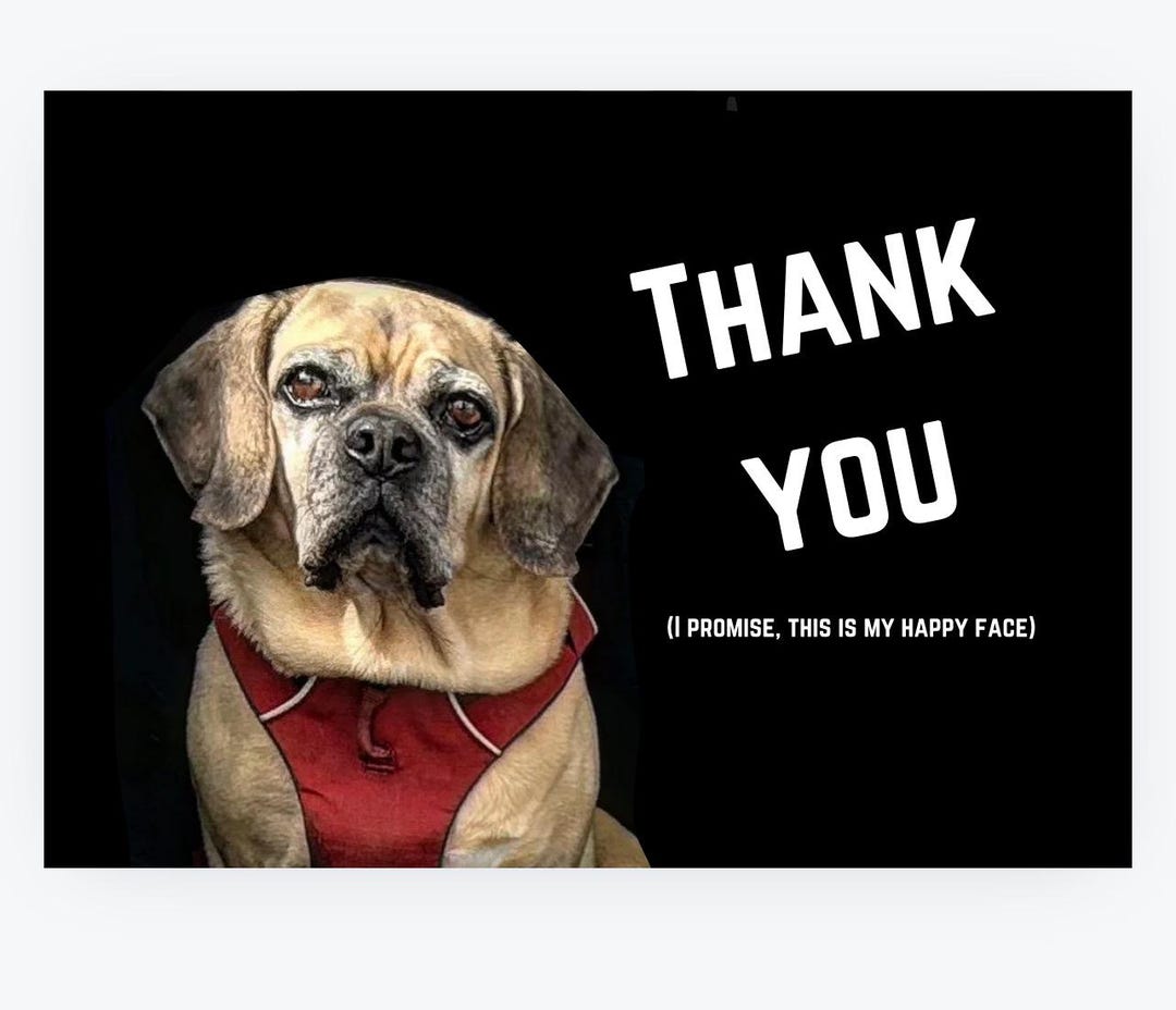 Luke the Pugle Thank You Card - Etsy