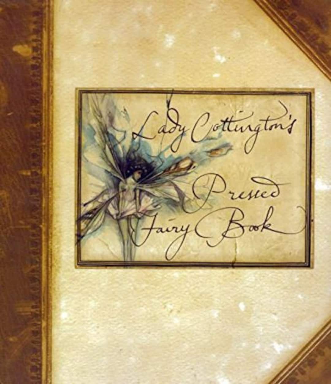 Lady Cottington's Pressed Fairy Book Vintage From 1990s - Etsy