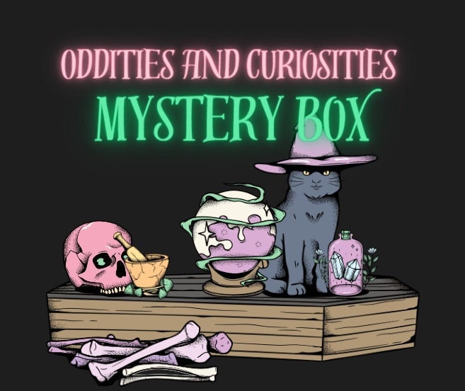 Oddities and Curiosities Mystery Box - Etsy