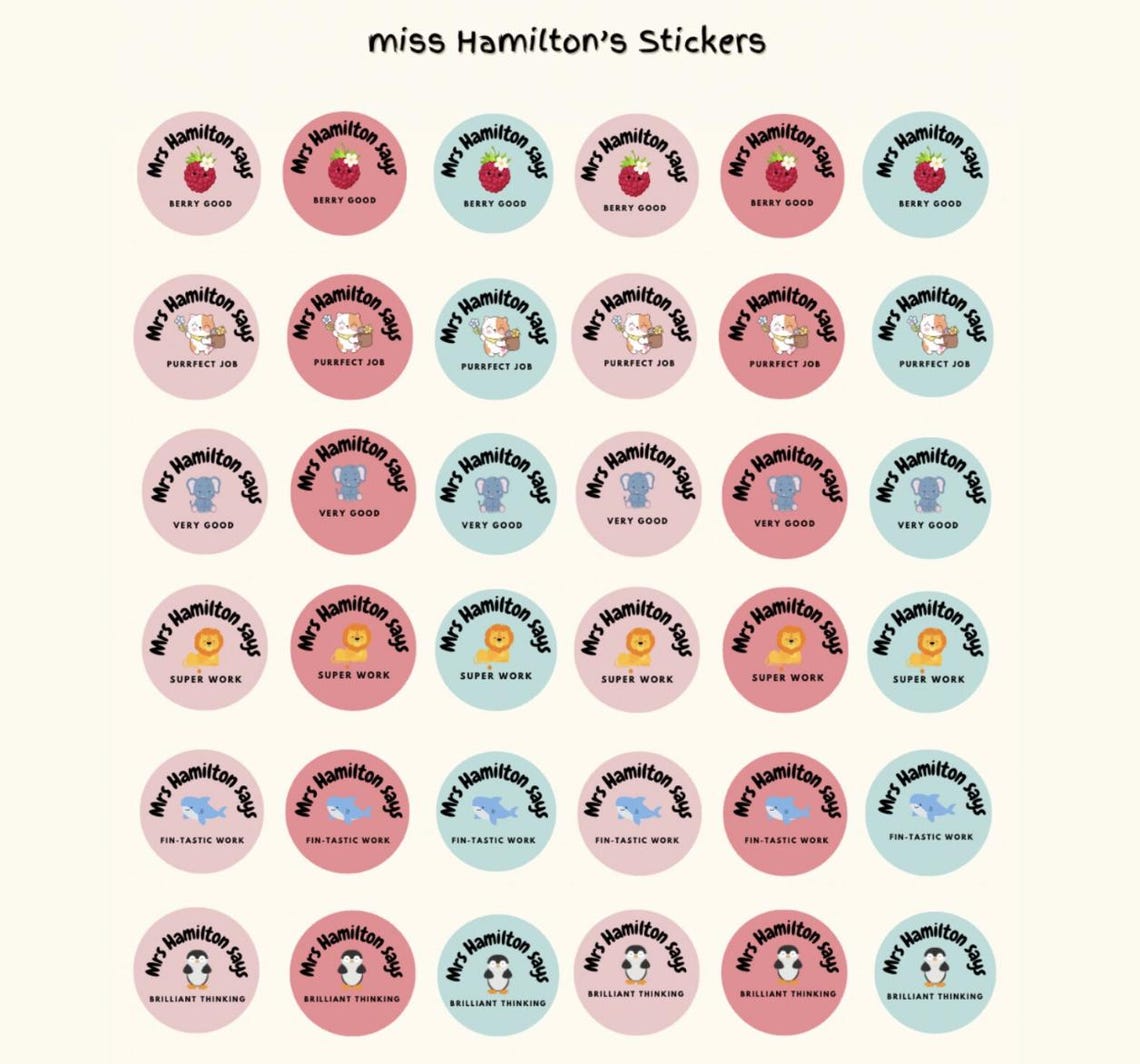 Well Done Stickers Teacher Stickers 12 Reward Stickers Personalised ...