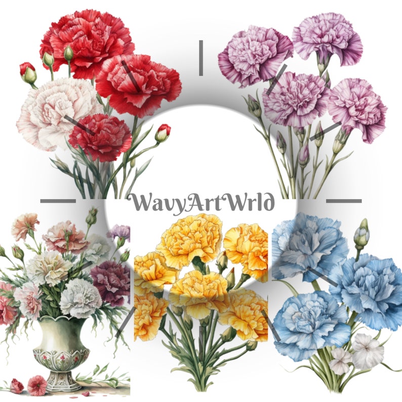 Carnation Flowers Clipart Watercolor Floral Clipart Elements Bundle ...