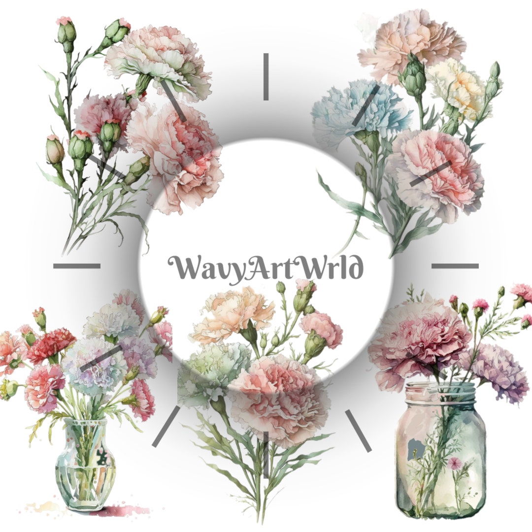 Carnation Flowers Clipart Watercolor Floral Clipart Elements Bundle ...