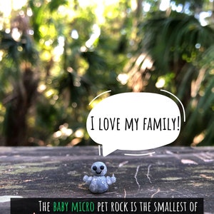 Adopt a Pet Rock! | Glitter Rock Desk Pal | Cute & Funny Gift for All ...