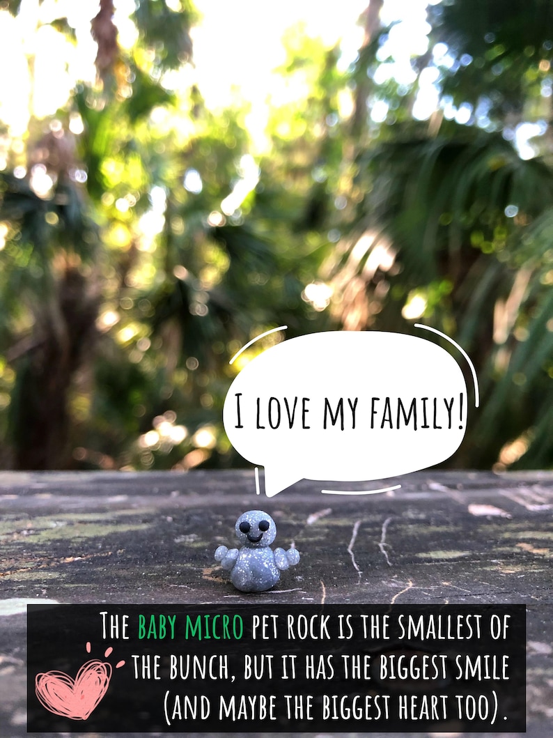 Adopt a Pet Rock! | Glitter Rock Desk Pal | Cute & Funny Gift for All ...