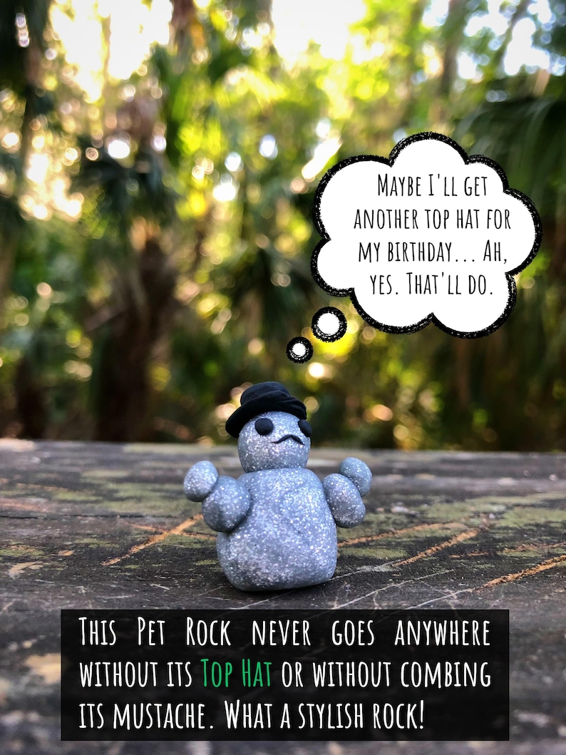 Adopt a Pet Rock! | Glitter Rock Desk Pal | Cute & Funny Gift for All ...