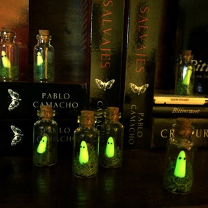 Tiny Ghost in a Bottle! | Glow in the Dark Ghost Decor With Mini ...