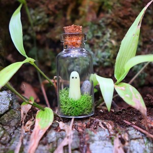 Tiny Ghost in a Bottle! | Glow in the Dark Ghost Decor With Mini ...