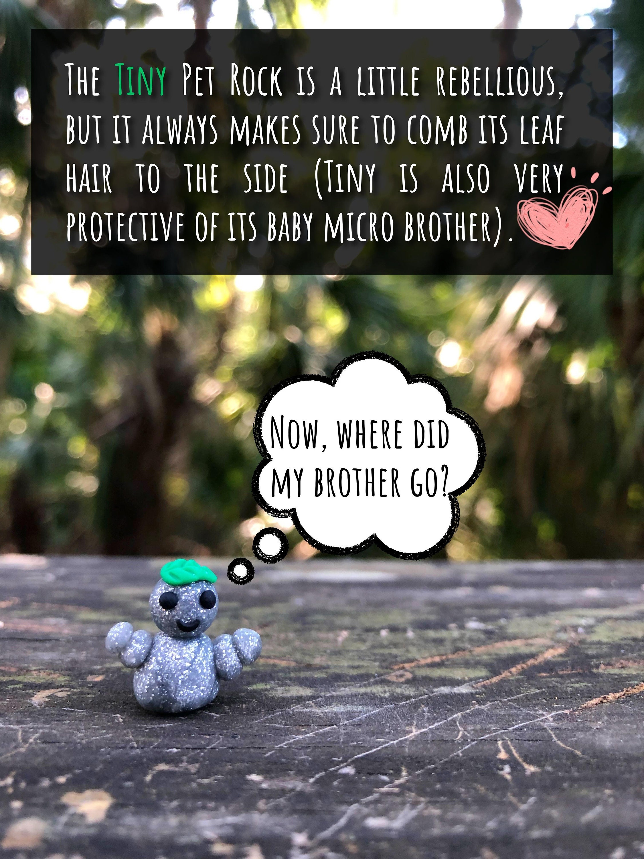 Adopt a Pet Rock! | Glitter Rock Desk Pal | Cute & Funny Gift for All ...