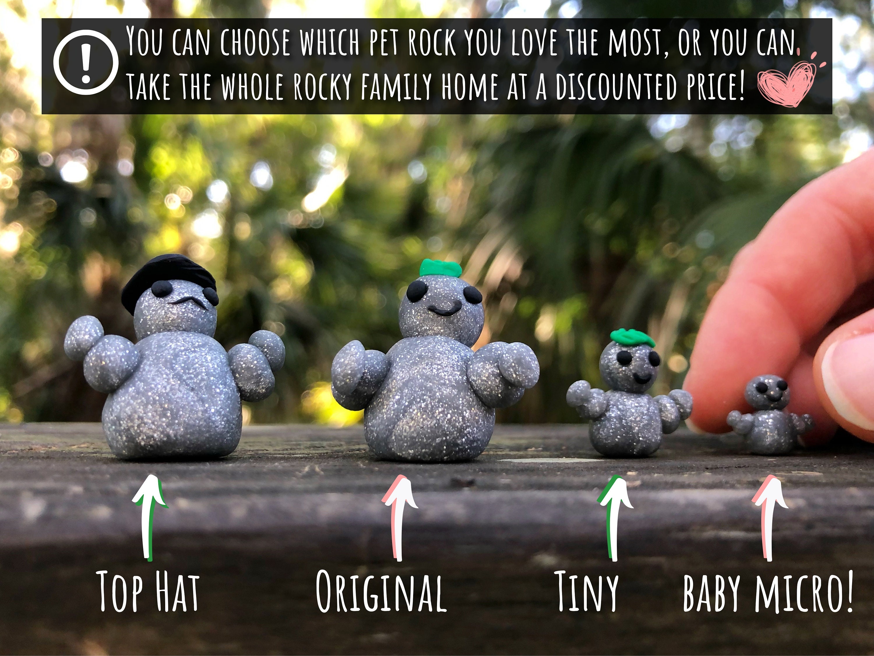 Adopt a Pet Rock! | Glitter Rock Desk Pal | Cute & Funny Gift for All ...