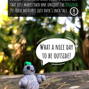 Adopt a Pet Rock! | Glitter Rock Desk Pal | Cute & Funny Gift for All ...