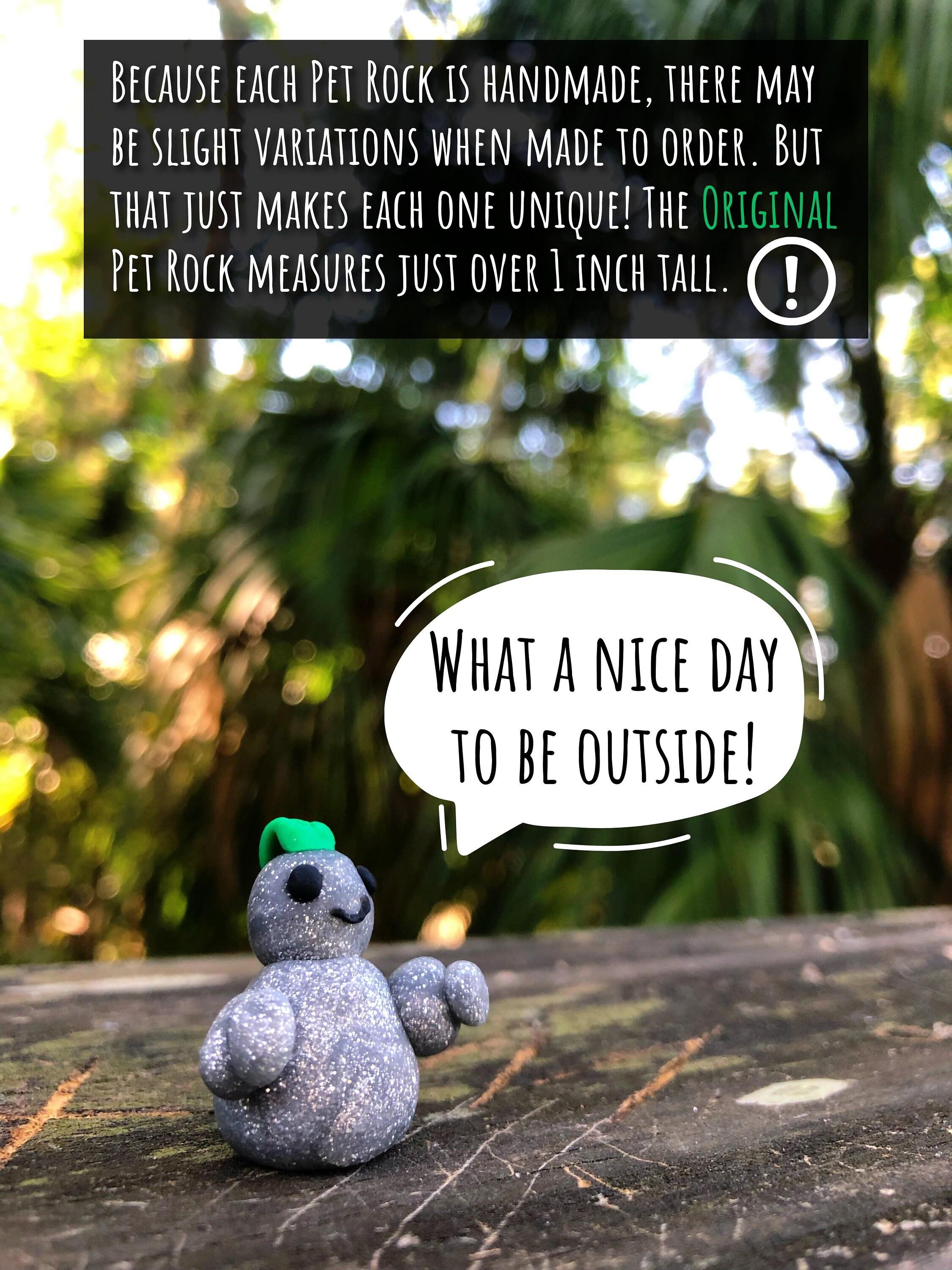 Adopt a Pet Rock! | Glitter Rock Desk Pal | Cute & Funny Gift for All ...