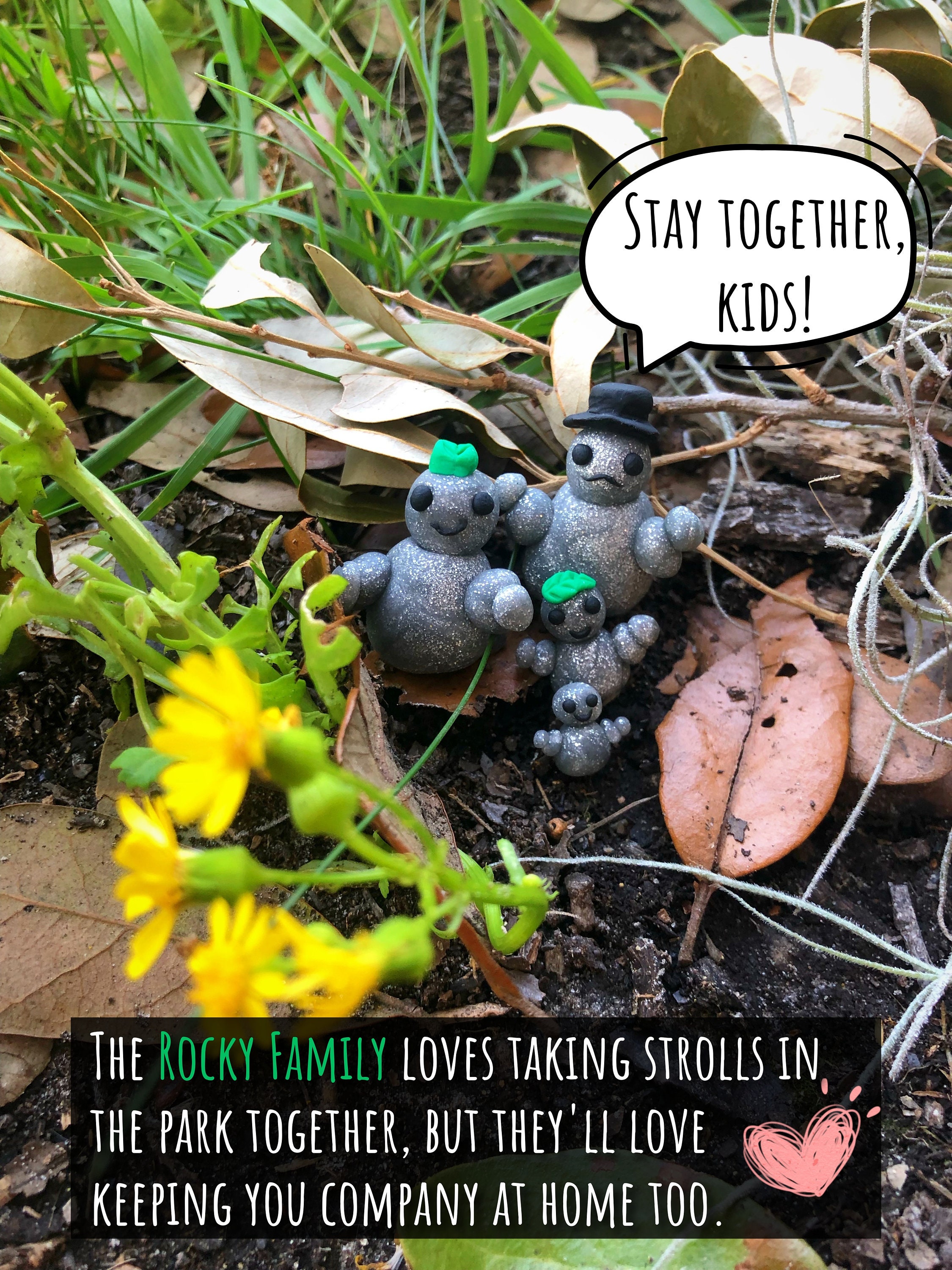 Adopt a Pet Rock! | Glitter Rock Desk Pal | Cute & Funny Gift for All ...