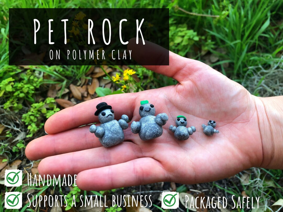 Adopt a Pet Rock Glitter Rock Desk Pal Cute & Funny Gift - Etsy