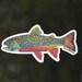 Brook Trout Vinyl Sticker, Trout Sticker, Fly Fishing, Brook Trout 5x5 ...