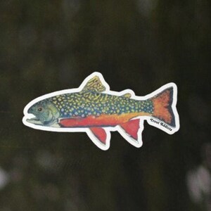 Brook Trout Vinyl Sticker, Trout Sticker, Fly Fishing, Brook Trout 5x5 ...