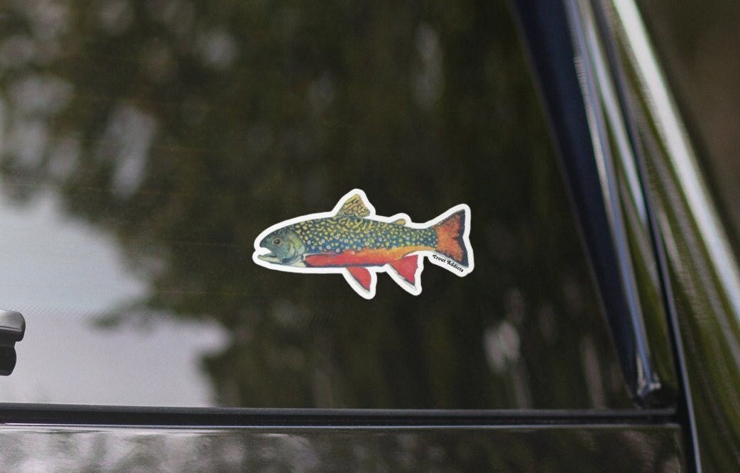 Brook Trout Vinyl Sticker, Trout Sticker, Fly Fishing, Brook Trout 5x5 ...