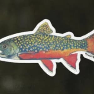 Brook Trout Vinyl Sticker, Trout Sticker, Fly Fishing, Brook Trout 5x5 ...