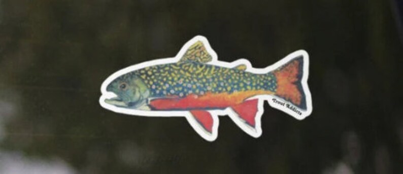 Brook Trout Vinyl Sticker, Trout Sticker, Fly Fishing, Brook Trout 5x5 ...