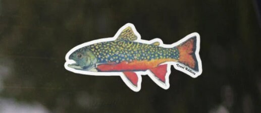 Brook Trout Vinyl Sticker, Trout Sticker, Fly Fishing, Brook Trout 5x5 ...