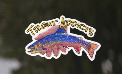 Trout Sticker Brook Trout Sticker Fishing Sticker Trout - Etsy