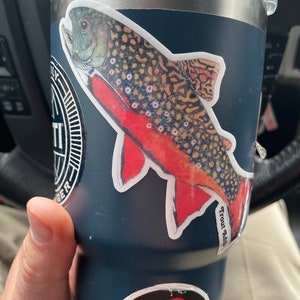 Brook Trout Vinyl Sticker, Trout Sticker, Fly Fishing, Brook Trout 5x5 ...