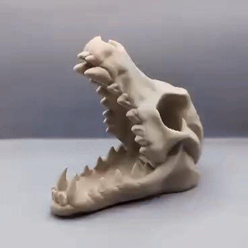 Wolf Skull Dice Tower | Beast Skeleton | Dungeons and Dragons | Dnd, D ...